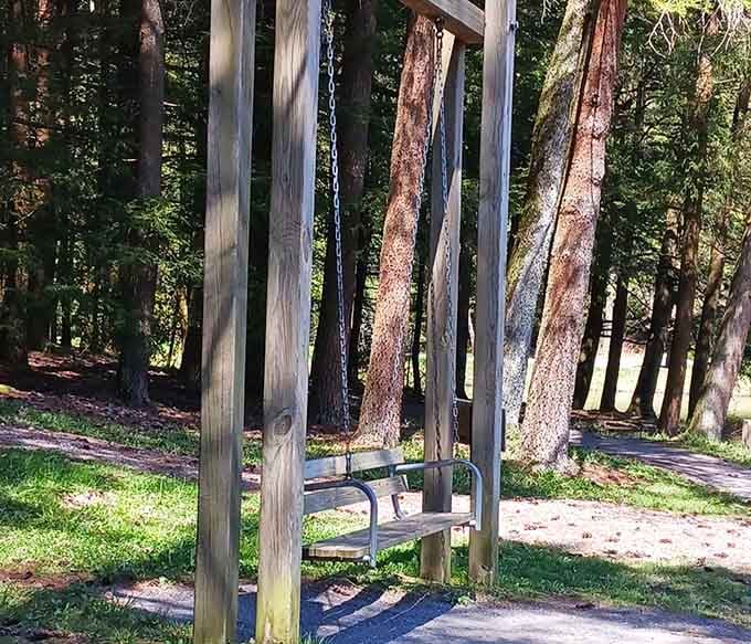 A simple wooden swing frame stands ready to launch you skyward, proving the best thrills don't require electricity or tickets.