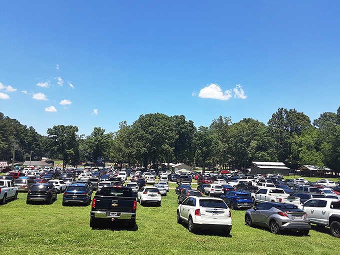 A packed parking lot on a beautiful day is basically a five-star review you can see.