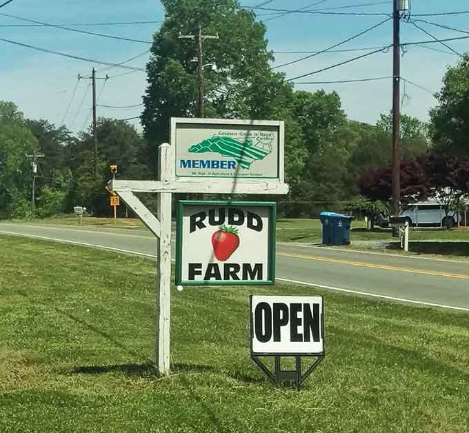 That simple roadside sign with the strawberry logo is all the advertising this authentic operation needs.