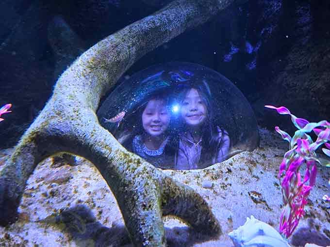 Bubble windows transform kids into temporary fish, giving them a perspective that's equal parts educational and absolutely Instagram-worthy magic.