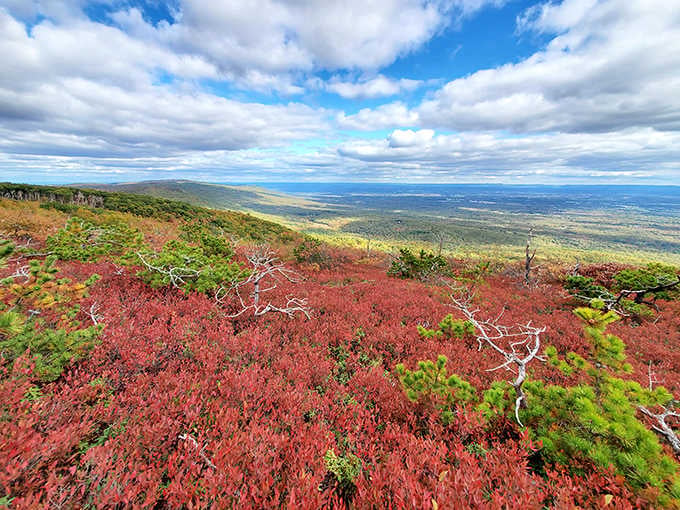 Sweeping views across the Hudson Valley remind you that sometimes the best things are hiding in your backyard.