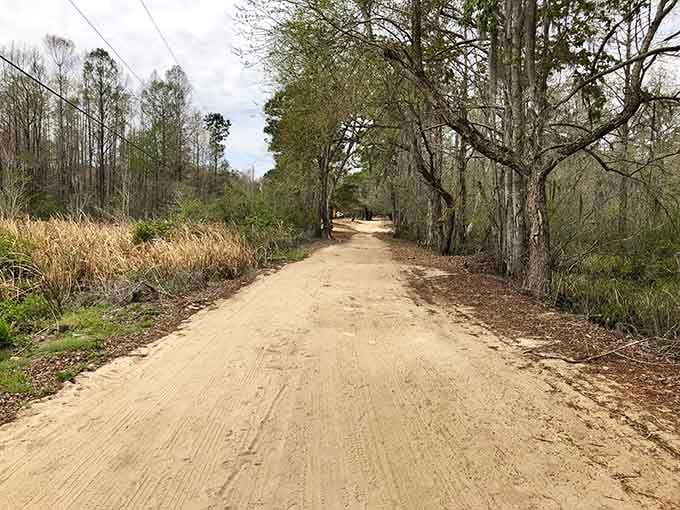 Sandy roads wind through the island where no GPS can guide you, only local knowledge and a willingness to explore.