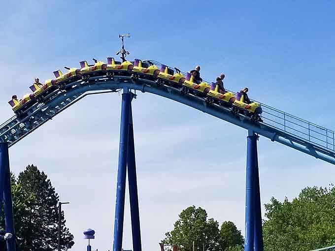 The Vapor Trail soars above everything, offering thrills without the terror, perfectly balanced family fun.