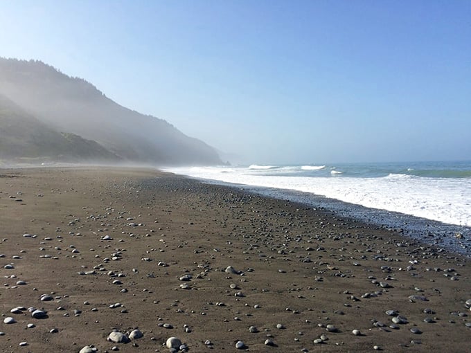 Morning fog rolls across black sand, creating the kind of ethereal scene cameras struggle capturing.