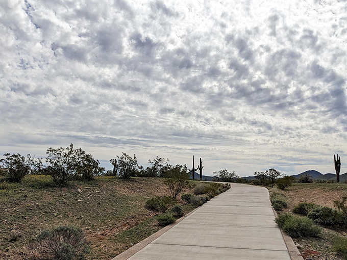 Paved pathways make the preserve accessible to everyone, because desert beauty shouldn't require advanced hiking credentials to enjoy.