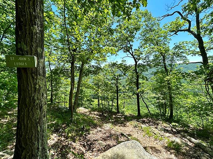 The Appalachian Trail marker reminds you that this path connects Georgia to Maine, no big deal.