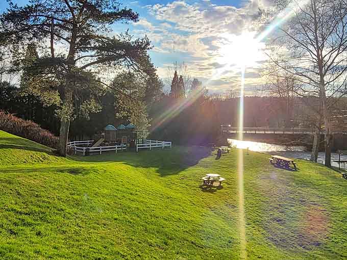 Golden hour at the park turns everything into a postcard, making even amateur photographers look like professionals.