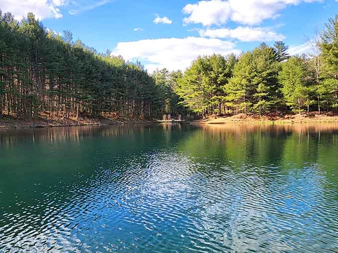 Leadmine Mountain's serene waters reflect the surrounding forest in a scene straight from a nature documentary.