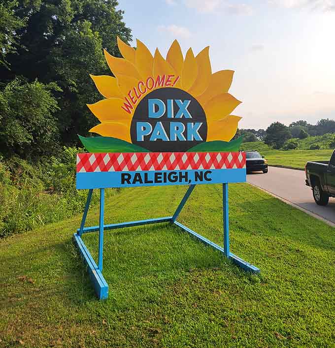 Welcome signs that promise sunflowers and deliver happiness, the best kind of truth in advertising available.