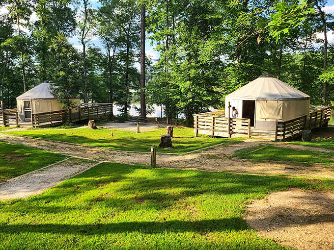 Yurts offering the camping experience for people who appreciate nature but also appreciate walls and actual beds too.