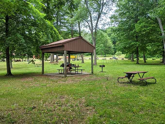 Lions Club North Park provides shaded picnic spots where you can enjoy lunch while pretending you're in a Hallmark movie scene.