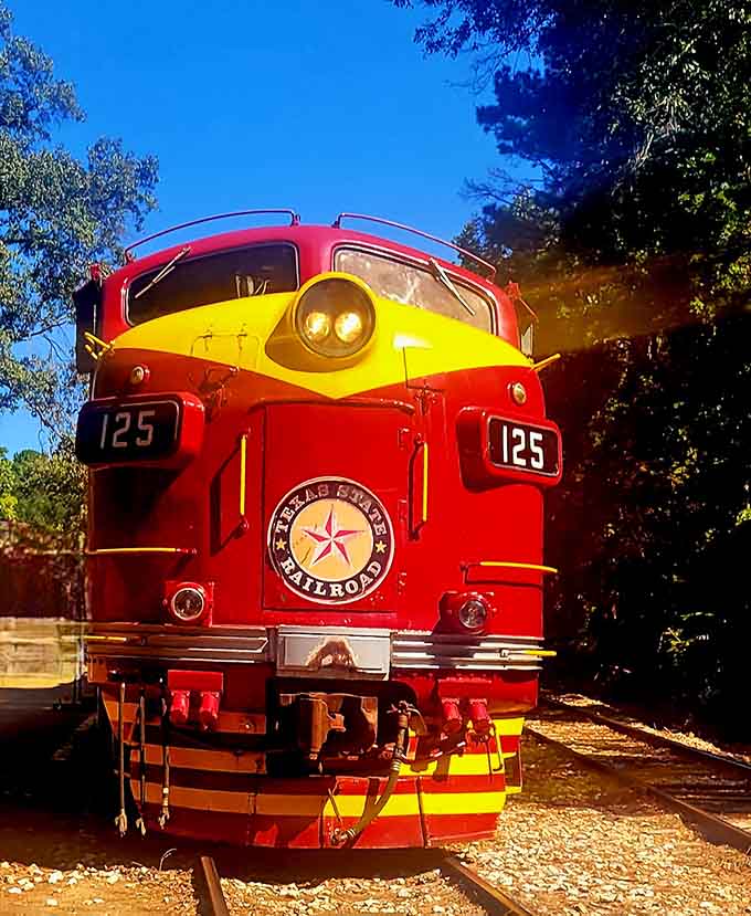 Golden hour transforms this already stunning locomotive into something that belongs in a museum or your dreams.