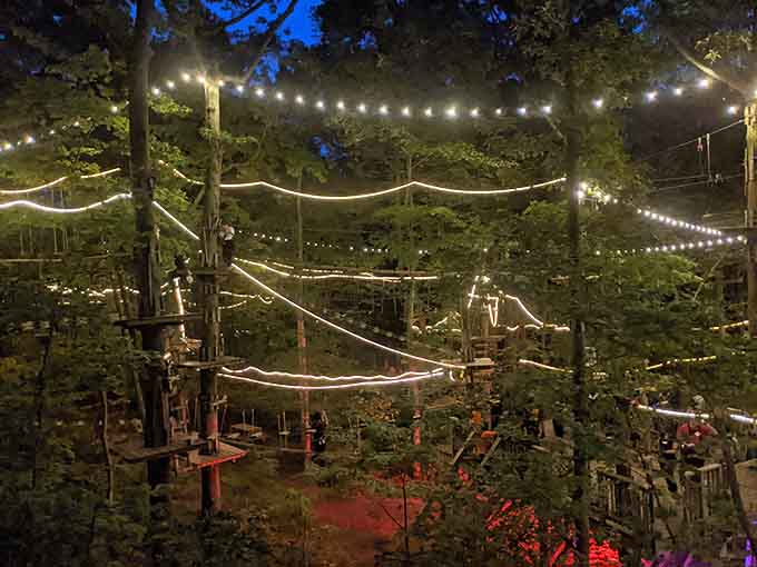 Nighttime at the park transforms into something magical, like Disneyland decided to embrace its adventurous woodland phase.