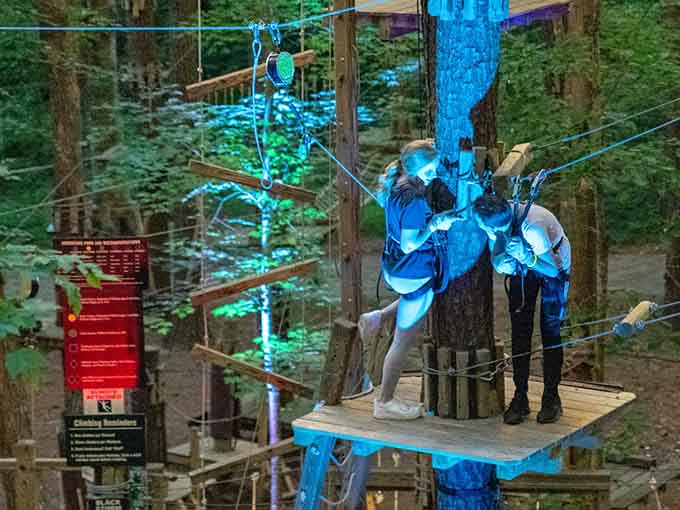 High above the ground, these brave souls navigate obstacles that test balance, courage, and their Instagram photography skills.