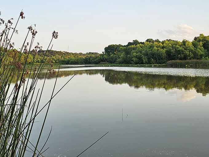 Peaceful waters stretch toward distant shores, reminding you that Texas holds more surprises than expected.