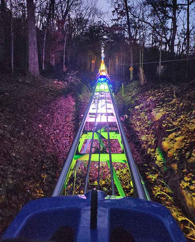 Illuminated tracks at dusk create an otherworldly glow, turning the forest into an electric dreamscape.