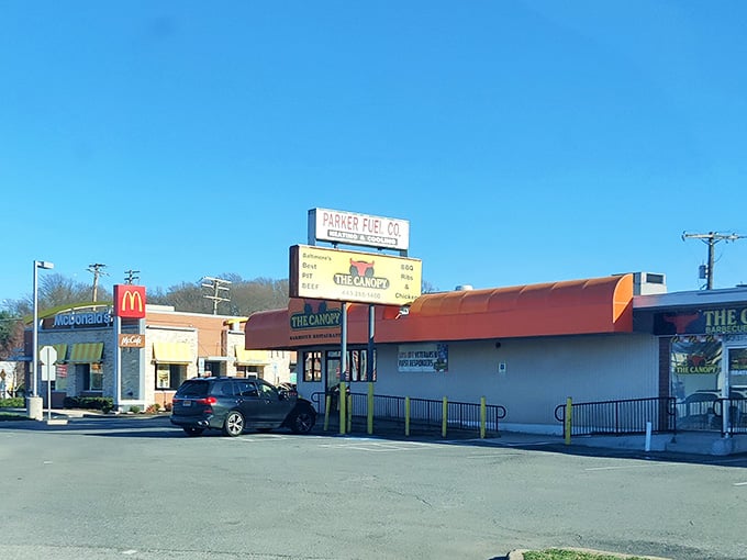 That parking lot fills up fast because word travels quickly when barbecue is this legitimately delicious.