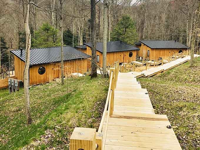 Elevated boardwalks connecting multiple cabins mean you can visit neighbors without ever touching actual ground&mdash;fancy that.