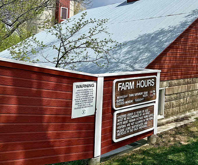 Check those hours before visiting, because even farm animals deserve their days off from adoring fans.