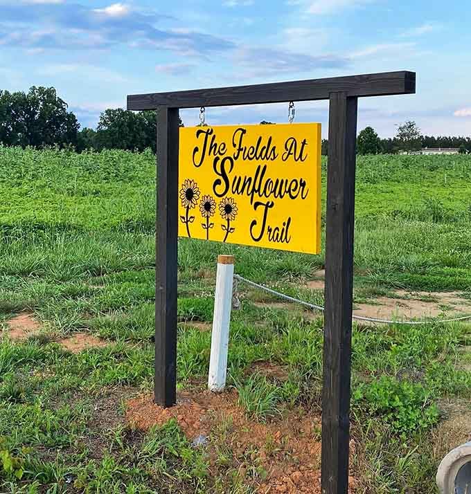 The cheerful yellow sign welcomes you to fields where happiness grows tall and worries shrink to nothing at all.