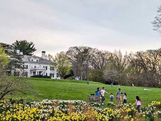 Families discovering that sometimes the best vacation spot is hiding right in your own backyard all along.