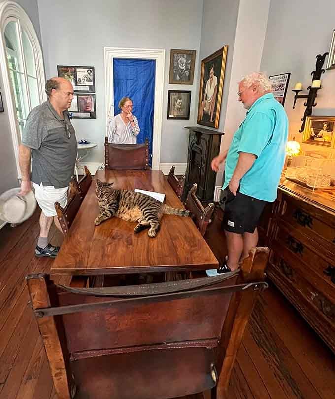 Tour guides share stories while a cat sprawls across the table, stealing the show as usual.