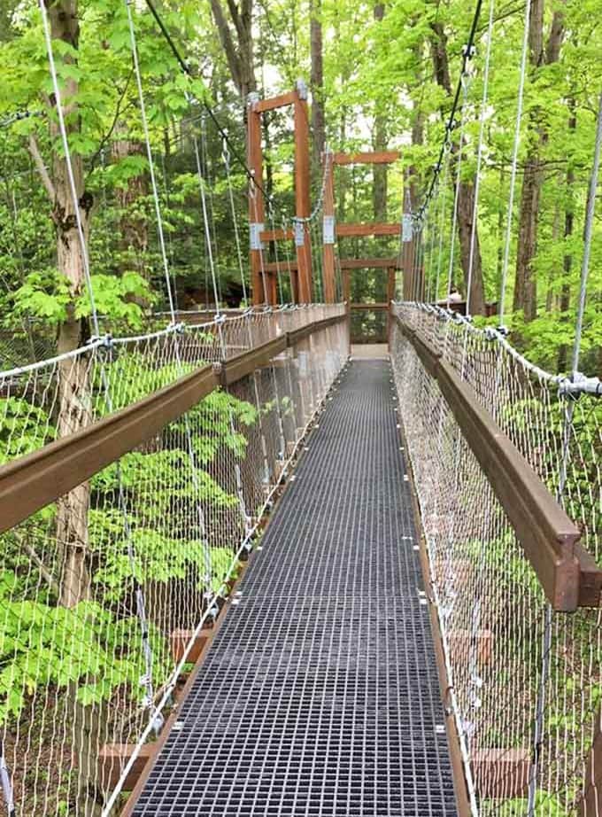 The suspended walkway gently reminding you that solid ground is overrated anyway, trust the engineering.