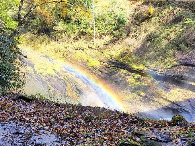 Rainbow Falls earning its name one sunny afternoon at a time, no leprechauns or pots of gold required.
