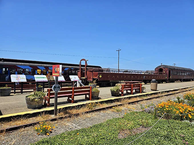 Vintage railcars lined up at the sunny depot look ready to transport you straight into California's most photogenic wilderness.