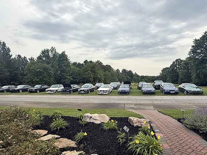 A lineup of BMWs parked outside like they're posing for their own automotive family reunion portrait.