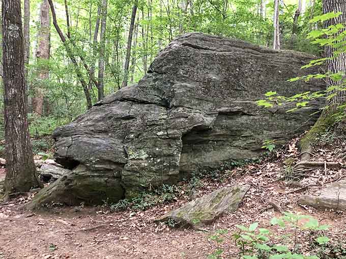Ancient rock formations line the trail, silent witnesses to countless seasons and endless flowing water.