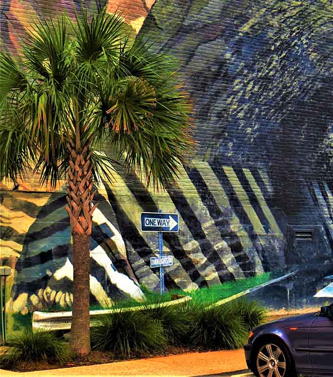 Even the palm tree seems to be leaning in for a better look at this magnificent wall.