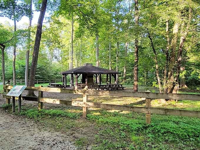 This sheltered pavilion nestled among the trees offers the perfect spot for family gatherings and outdoor feasts.