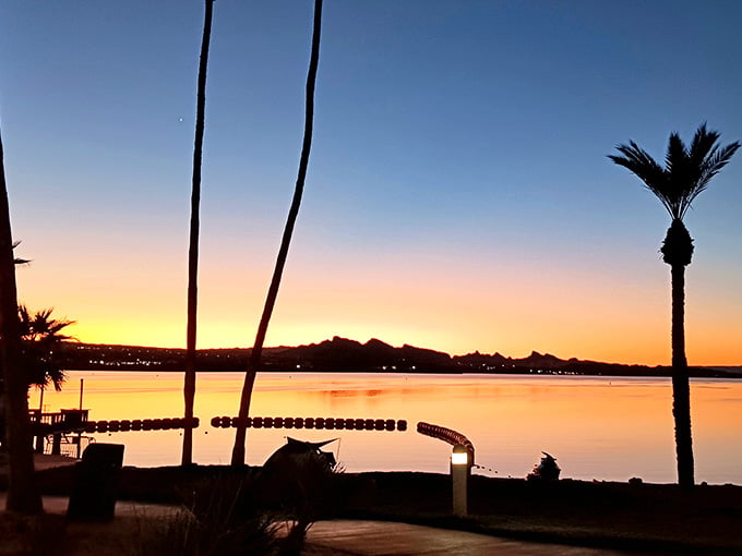 Desert sunsets paint the sky in colors that make you believe in magic, one drink at a time.