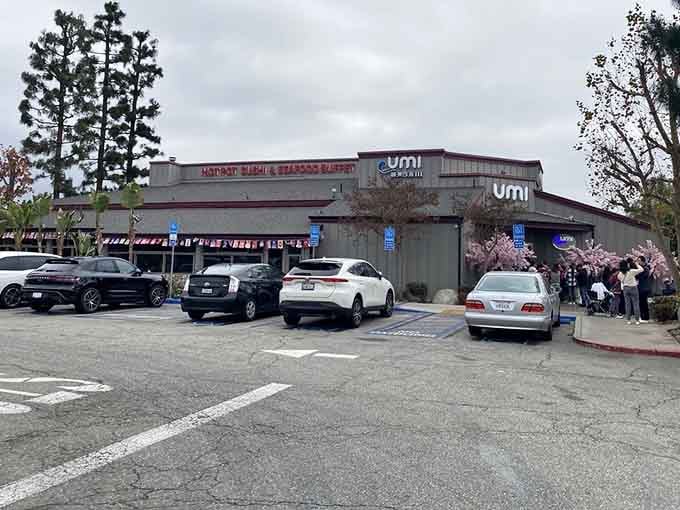 When the parking lot looks like this, you know you've found where the smart eaters congregate for serious value.