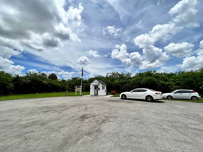 The parking area often fills with curious travelers who've made this quirky stop part of their Everglades adventure.