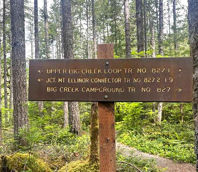 Clear trail markers mean you can focus on enjoying the hike instead of wondering if you're hopelessly lost in the wilderness.