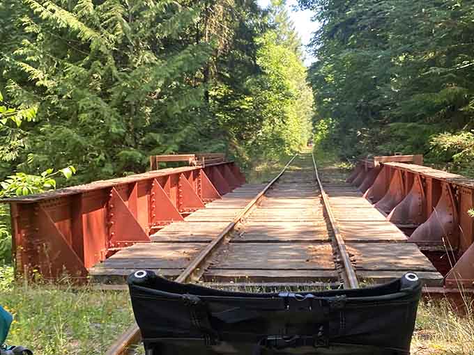 Crossing historic bridges adds just enough thrill to make the whole experience feel like a real adventure.