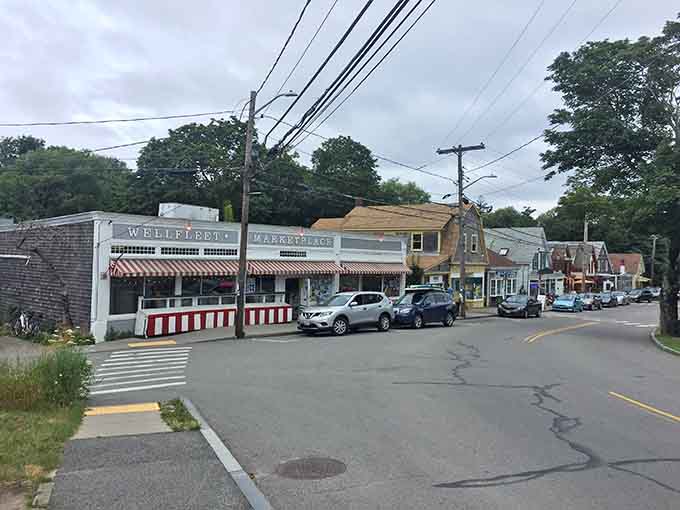 Downtown Wellfleet keeps things real with local shops that actually belong here, not corporate chains everywhere.