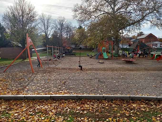 As autumn leaves scatter across the playground, the fun continues year-round, proving Maryland weather can't stop determined kids.