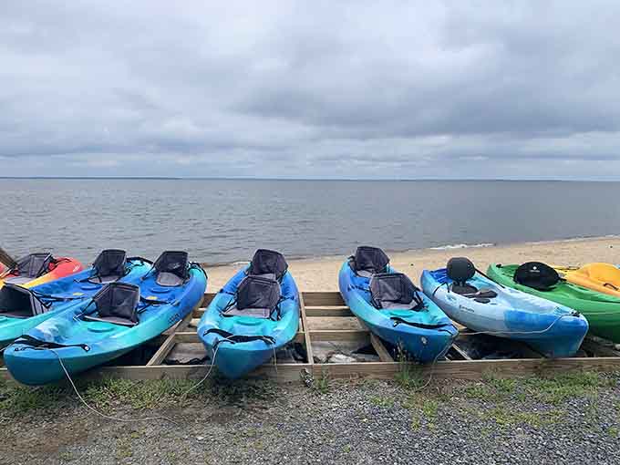 Kayaks ready to explore the same waters that once hosted prehistoric sharks and whales.