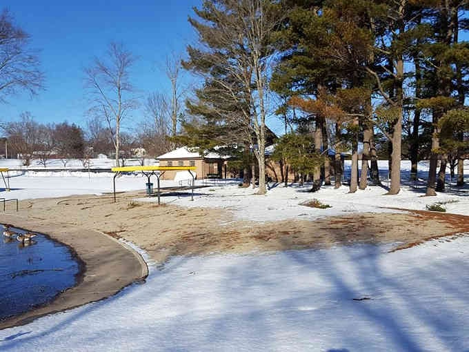Winter blankets the park in quiet beauty, proving that Wethersfield's charm doesn't take a seasonal vacation or hibernate until spring.