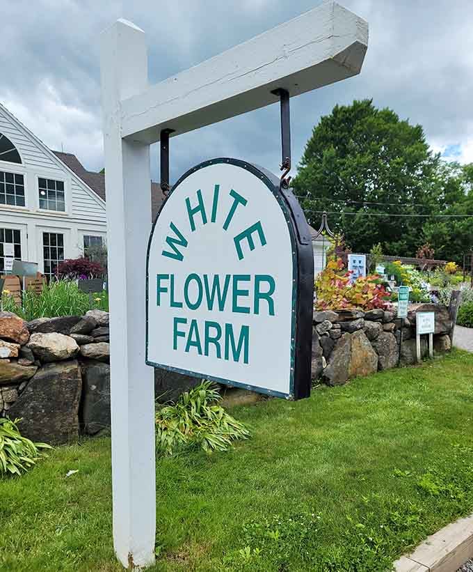 The iconic sign welcoming plant lovers to their happy place since way before selfies existed.