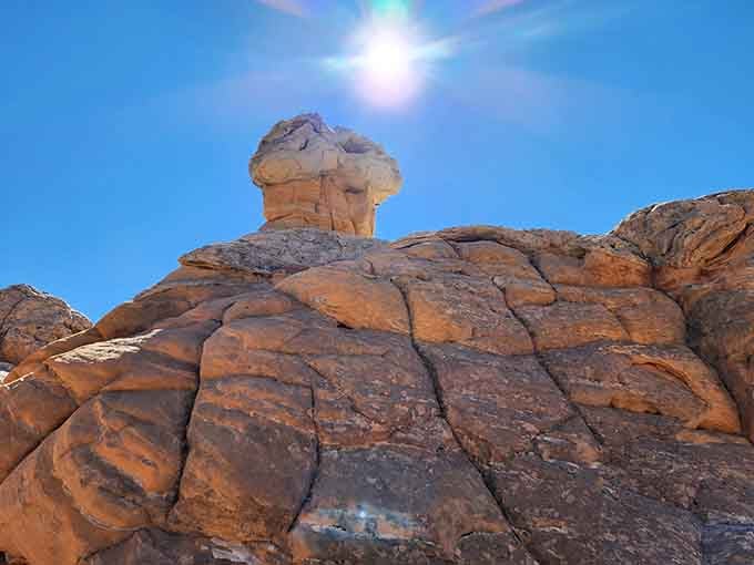 Under a cloudless Arizona sky, these brain-like rock patterns remind you that nature has always been the better artist.