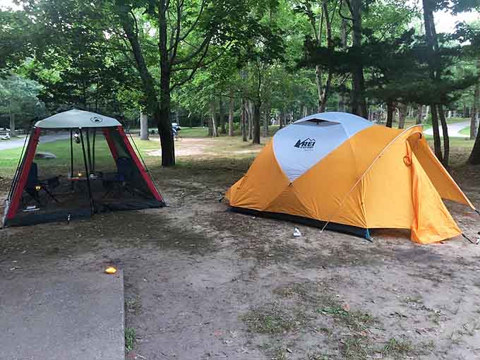 Campsites nestle among the trees, offering that classic outdoor experience where s'mores taste better and sleep comes easier.