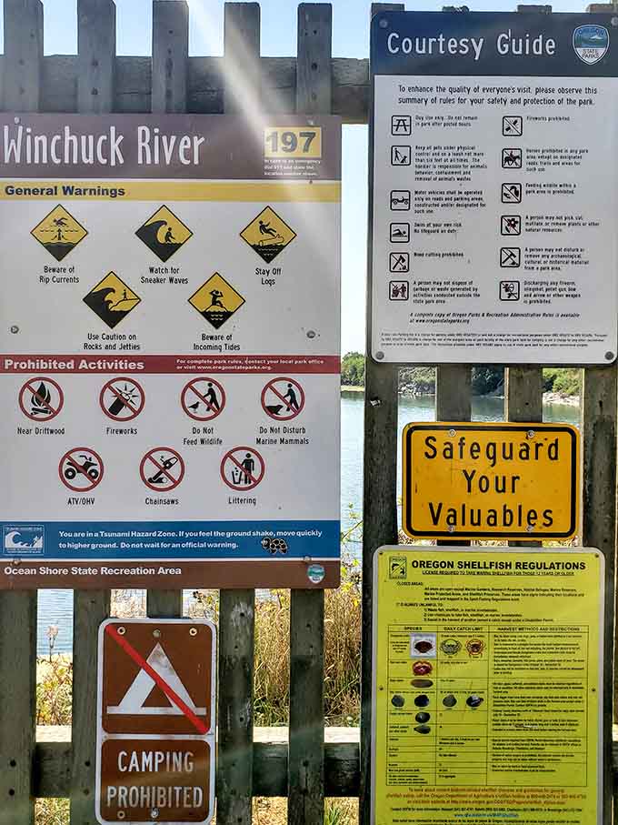 Park regulations ensure this peaceful sanctuary stays pristine for generations of beach lovers to enjoy.