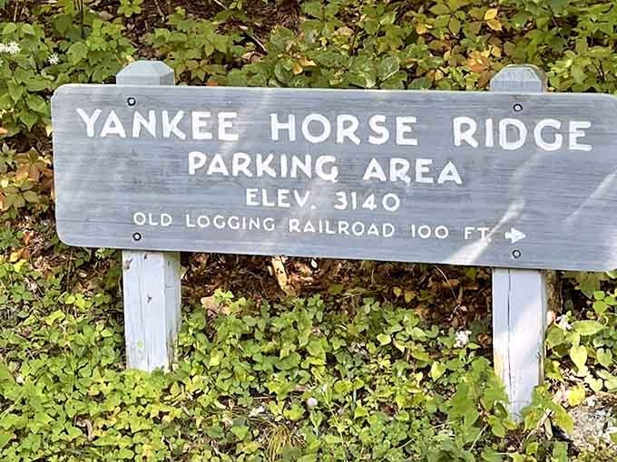 This sign marks the beginning of an adventure that's been waiting here for you all along.