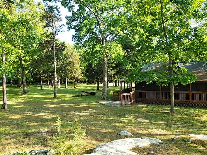 Majestic trees create a natural canopy over the grassy lawn, offering shade and serenity in equal measure.