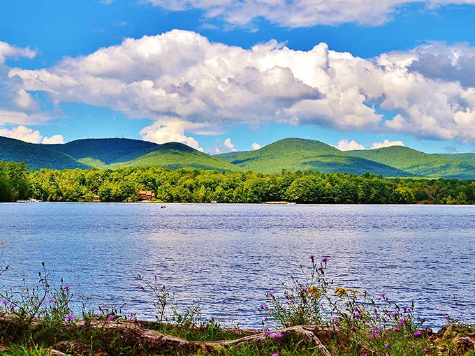 Purple wildflowers dot the shoreline while mountains rise like sleeping giants across pristine waters.