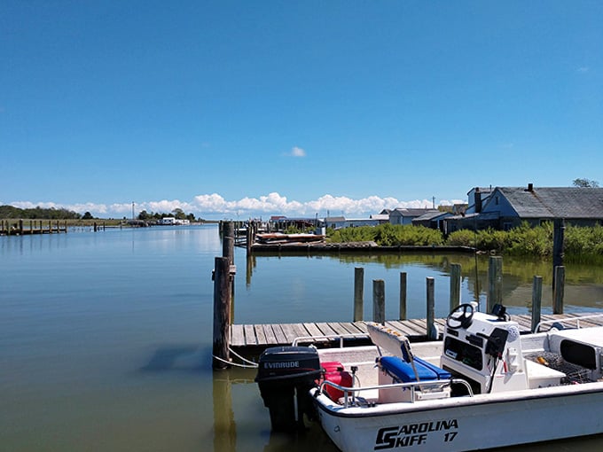 That wooden dock leads straight into the water like a runway for boats coming home after a long day.